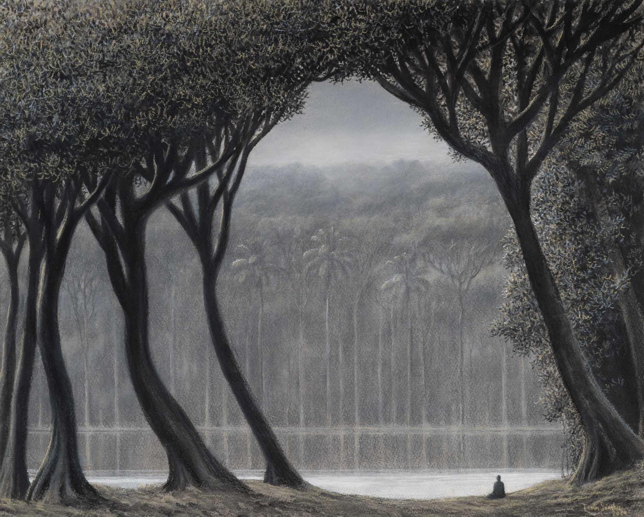 Contemplador en grises